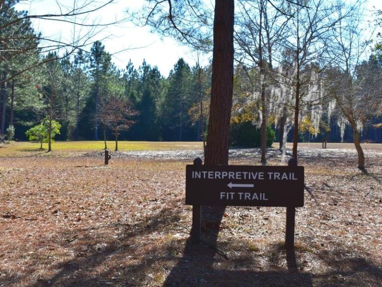 Exploring Lake Warren State Park - Adventures in the Carolinas